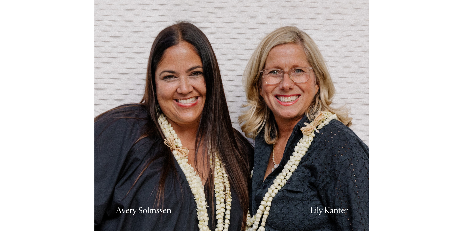 About Us | Averylily